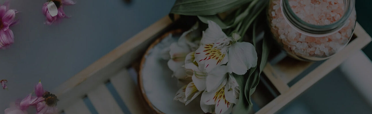 Coco Earth - Buy Keto Food Online | Keto Online Store Australia