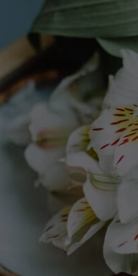 Coco Earth - Buy Keto Food Online | Keto Online Store Australia