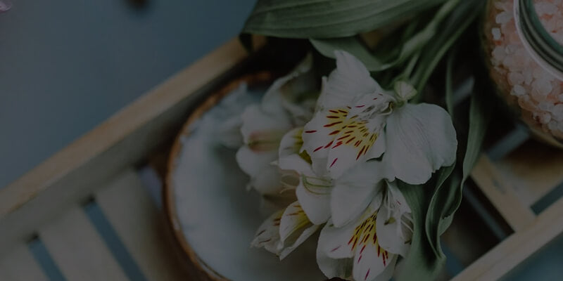 Coco Earth - Buy Keto Food Online | Keto Online Store Australia