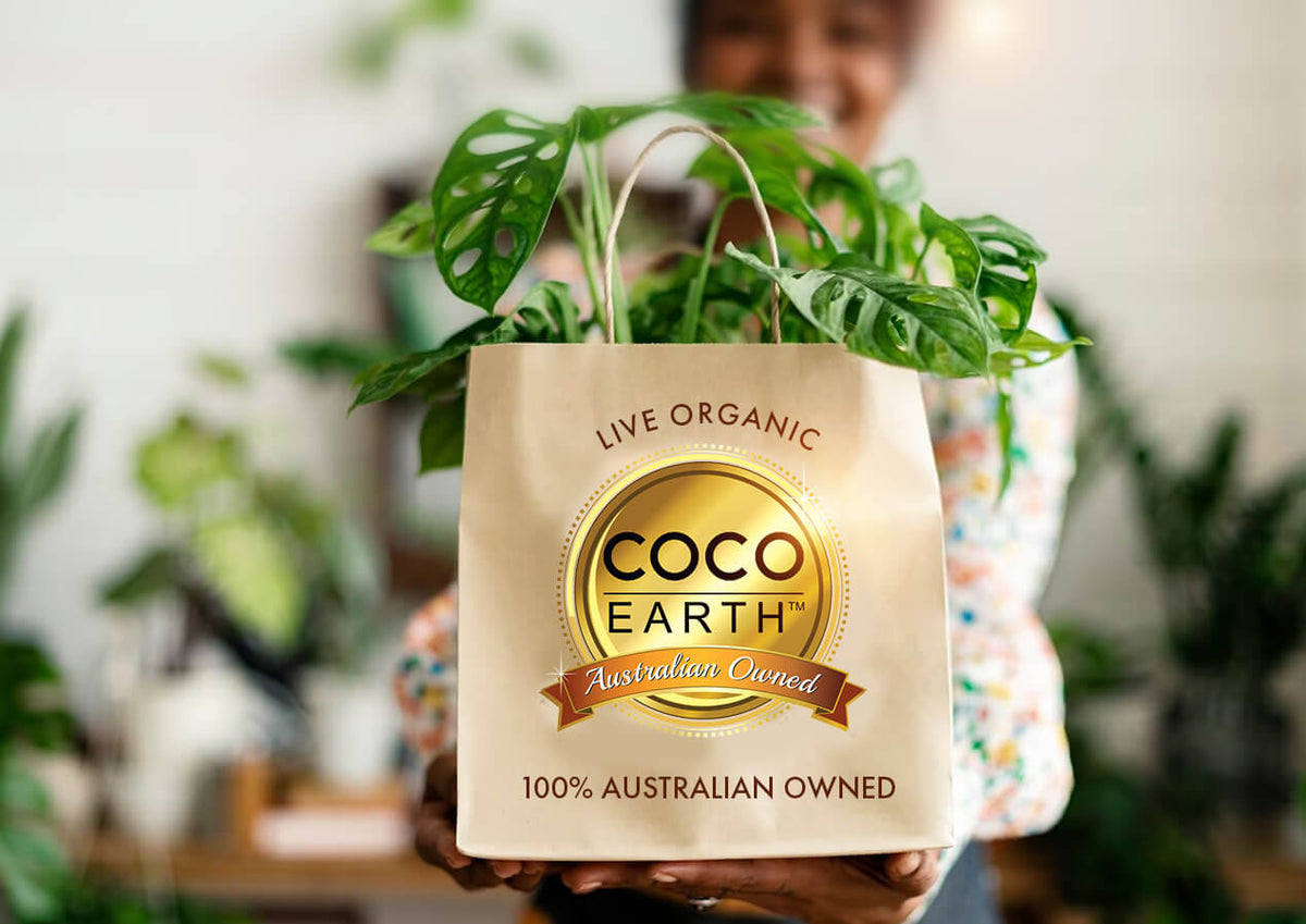 Our Story - Coco Earth